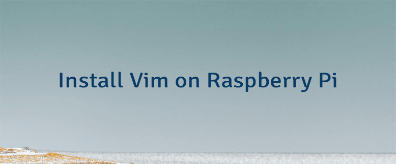 Install Vim On Raspberry Pi Lindevs