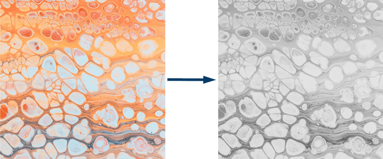 Convert Rgb Image To Grayscale Image Using Opencv Lindevs