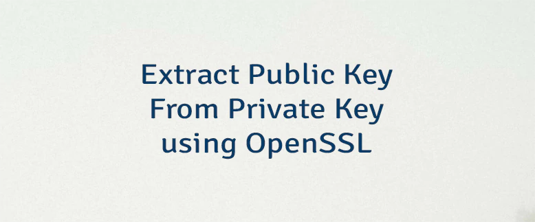 Extract Public Key From Private Key Using Openssl Lindevs