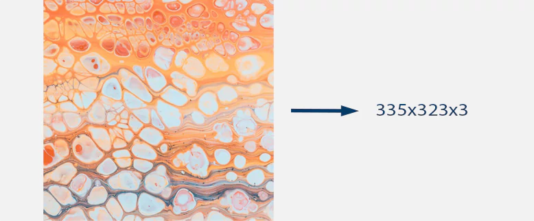 Get Image Size Using Opencv Lindevs 3255
