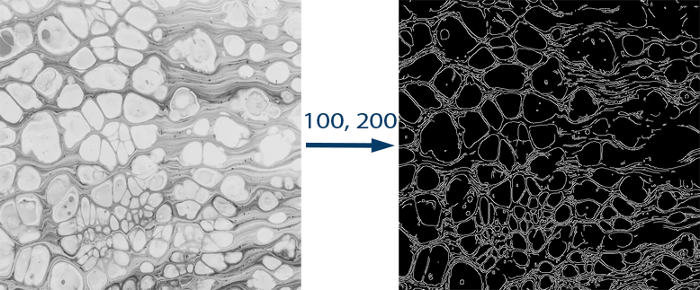 Apply Canny Edge Detection On Image Using Opencv Lindevs 5029