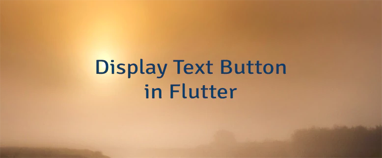 Display Text Button In Flutter Lindevs 4508