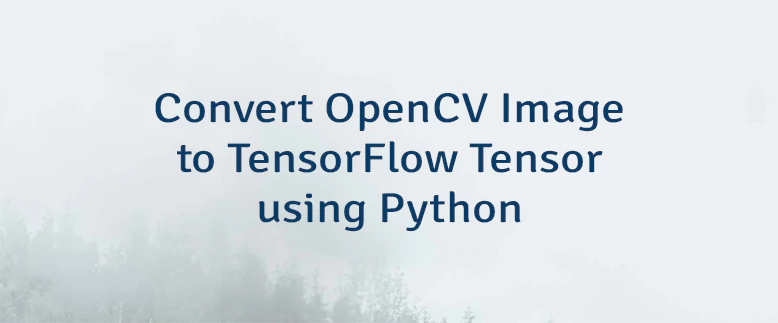 Convert Opencv Image To Tensorflow Tensor Using Python Lindevs 0858