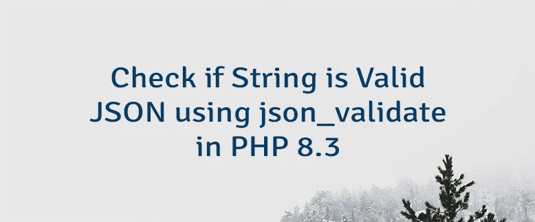 Check If String Is Valid Json Using Jsonvalidate In Php 83 Lindevs 2945
