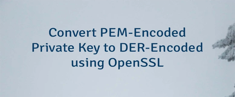 Convert Pem Encoded Private Key To Der Encoded Using Openssl Lindevs