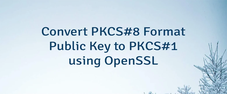 Convert Pkcs8 Format Public Key To Pkcs1 Using Openssl Lindevs
