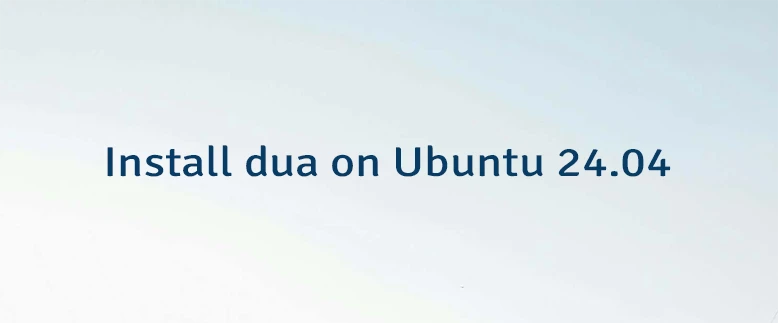 Install Dua On Ubuntu 2404 Lindevs